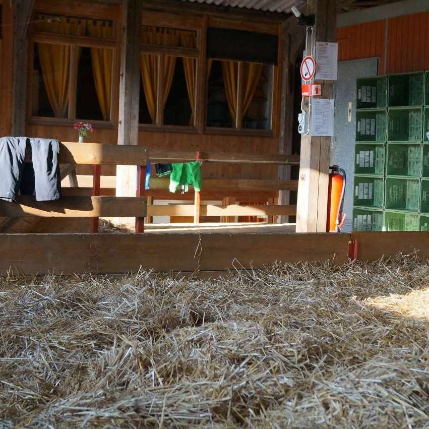 Bolderhof - the adventure farm in Hemishofen near Stein am Rhein ...